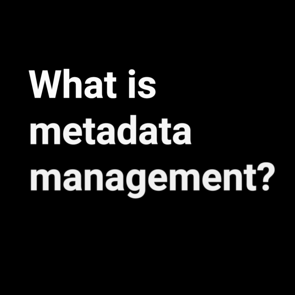 Metadata Management Framework Governance And Tools