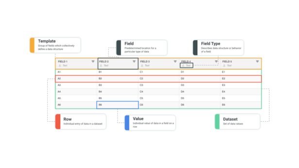 The Claravine Approach to Data Design - Claravine
